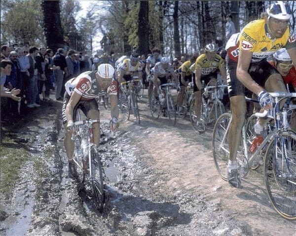 Arenberg Forest Trench - Cobbles of Paris Roubaix