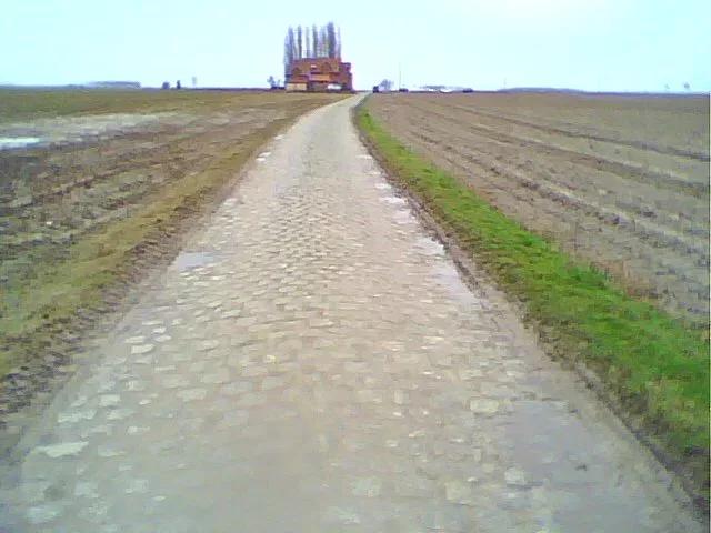 Carrefour de l'Arbre: The Decisive Moment of Paris-Roubaix ...